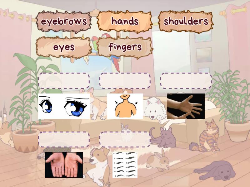 FF1 unit 3 part 2 - Match up