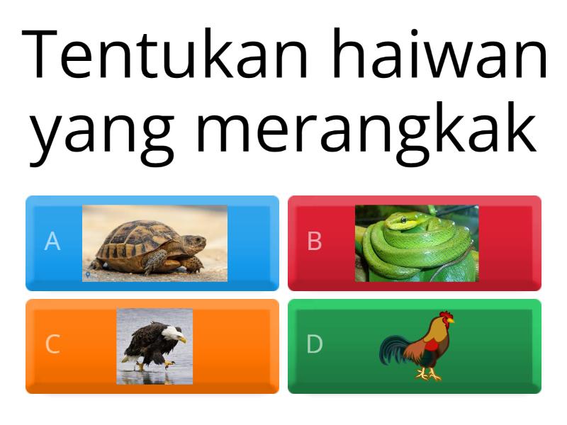 KUIZ DUNIA RIMBA - Quiz