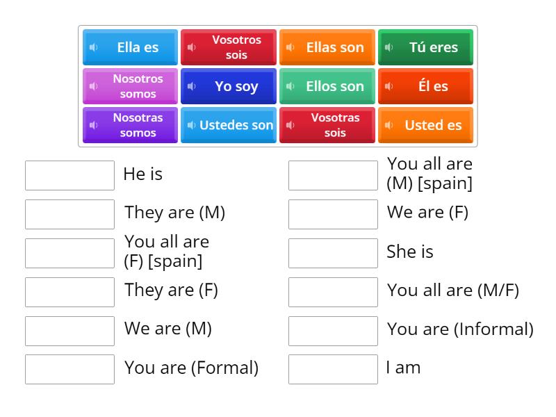 El verbo SER (To be) - Match up