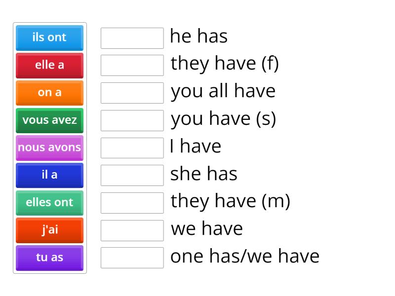 Y8 the verb avoir - to have - Match up