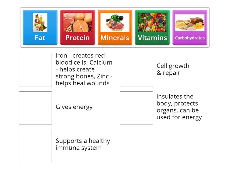 Food Nutrients & their function - Match up