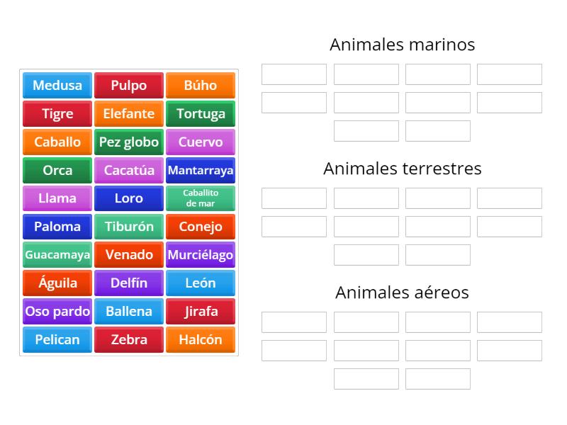 Actividad para fortalecer estilo de aprendizaje: Asimilador - Group sort