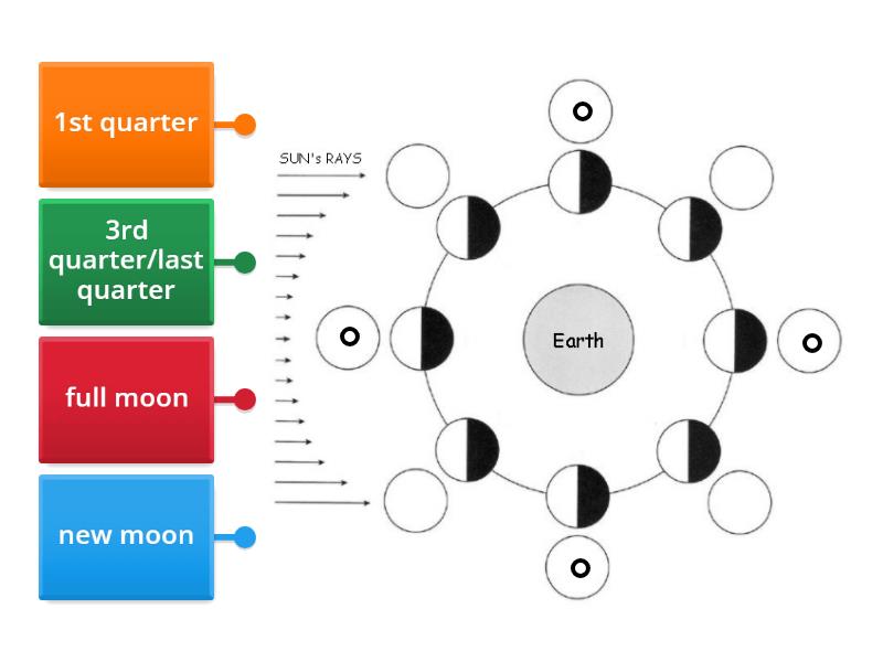 Moon Phases - Labelled diagram