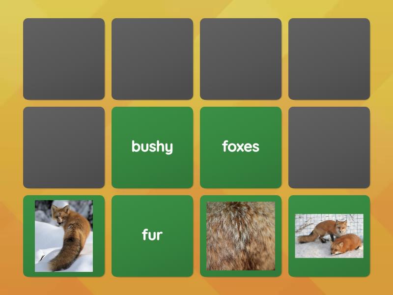 RAZ_D_All About Foxes Vocabulary - Matching pairs