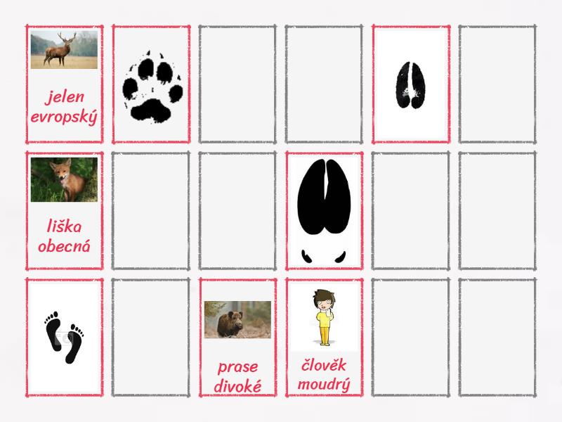 Stopy - Shodné dvojice