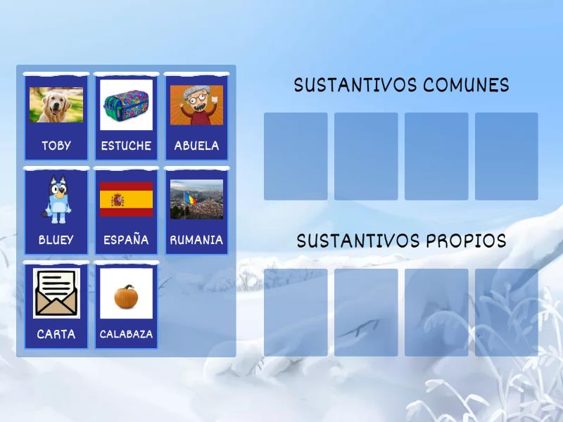 SUSTANTIVOS PROPIOS Y COMUNES 2º Educación Primaria - Group sort