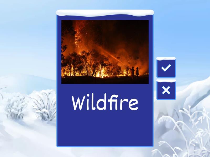 WEATHER AND NATURAL DISASTERS - Flash cards