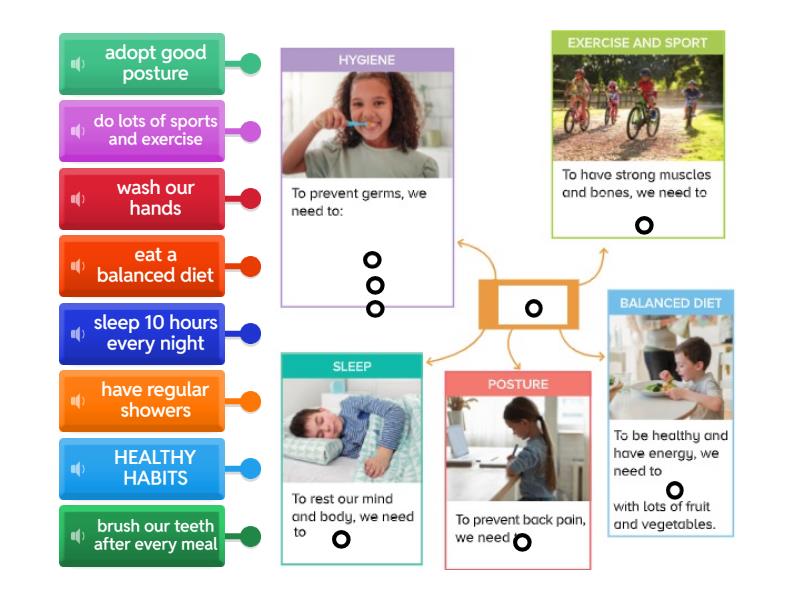 Healthy Habits - Labelled diagram