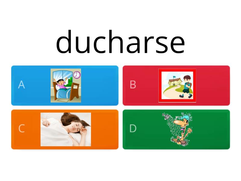 Rutina diaria básica - Cuestionario