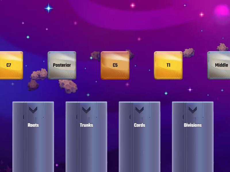 Plexus Chart - Speed sorting