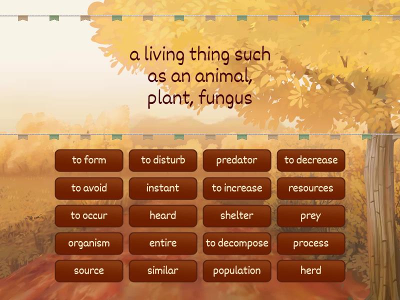 Ecosystem vocab - Find the match