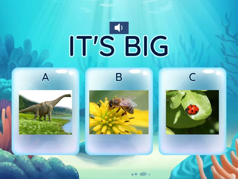 Adjectives (big-small, long-short) - Quiz