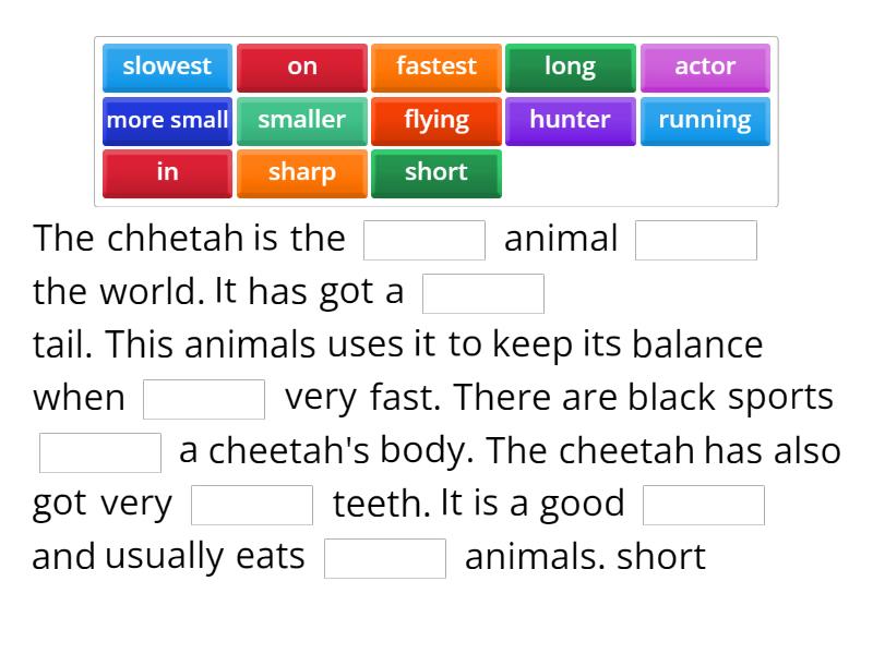 Unit 5 Animals. - Complete the sentence