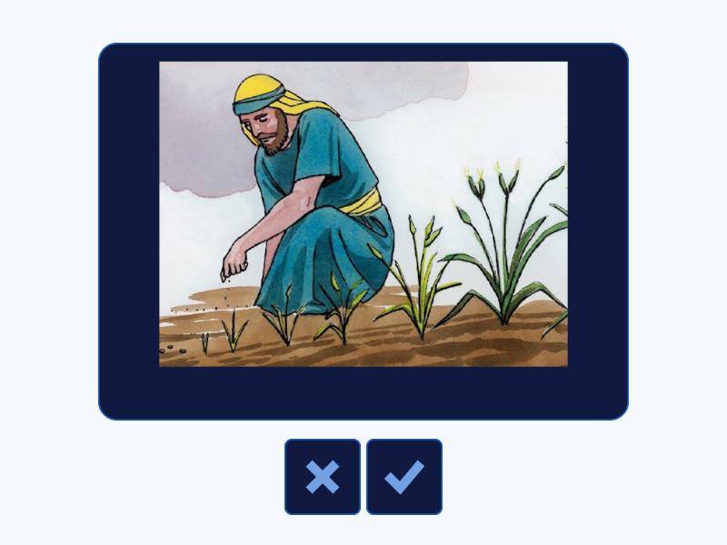 Parables - Flash cards