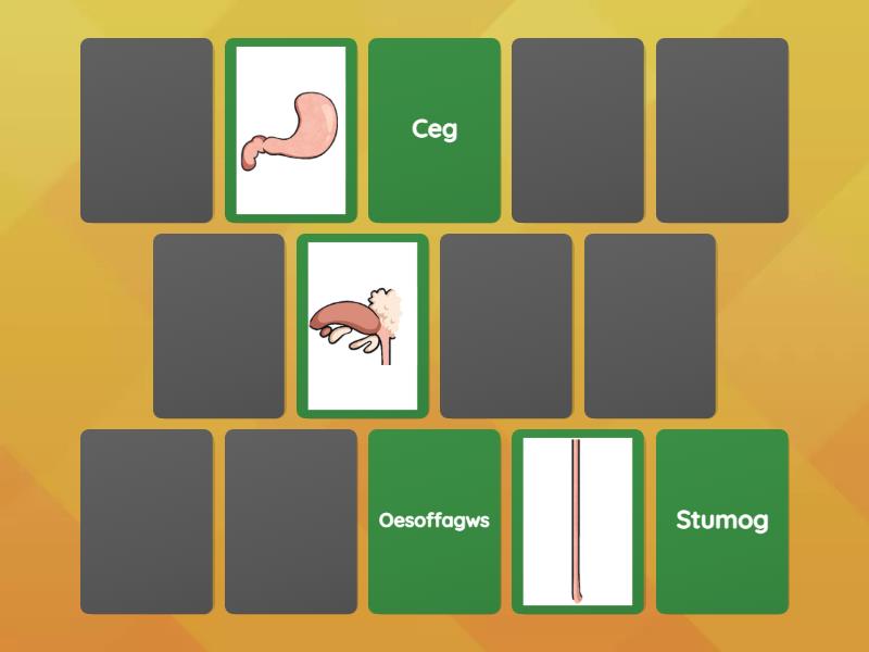 Y system treulio - Matching pairs