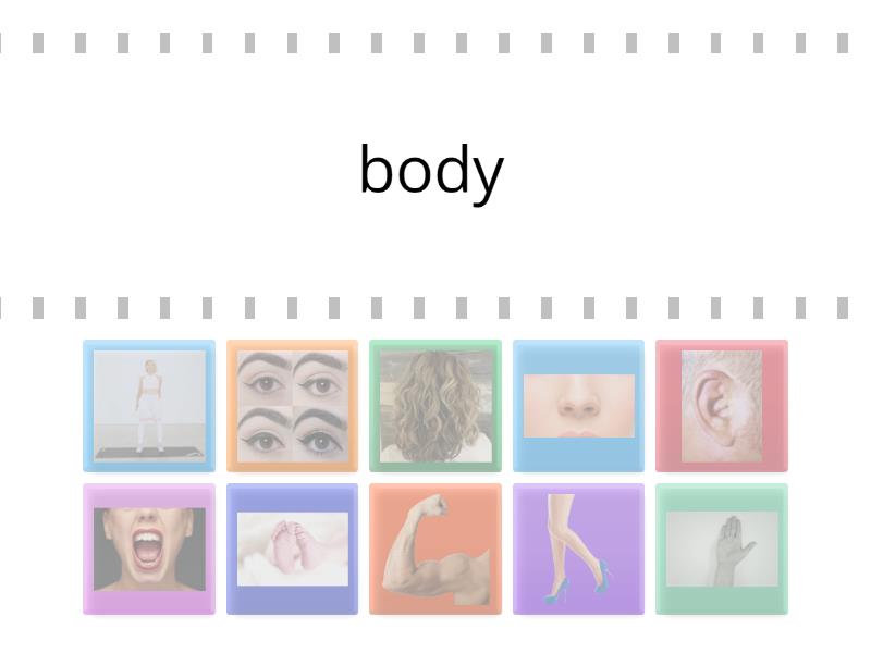 Body parts - Find the match
