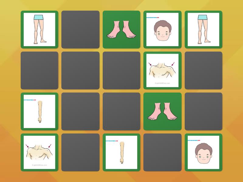 Body parts - Matching pairs