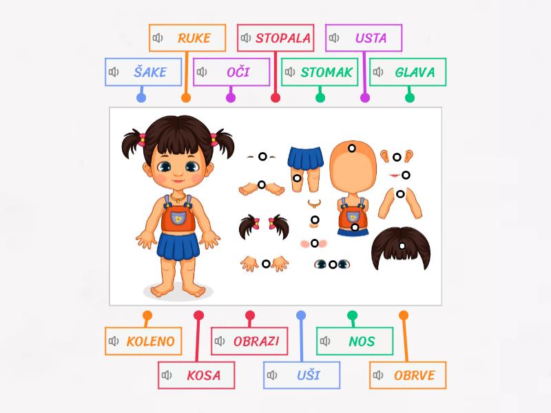 Delovi tela - Дијаграм са ознакама