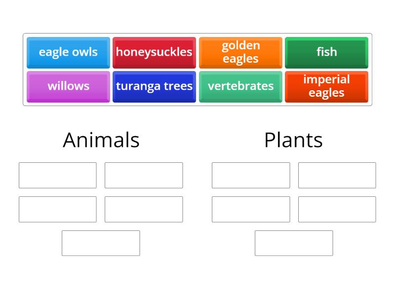 PAIR WORK - Group sort