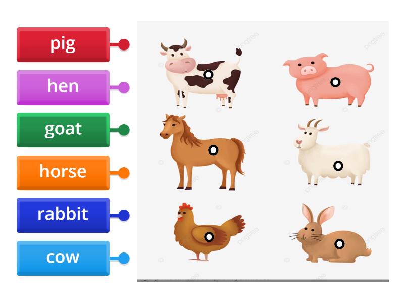 FARM ANIMALS - Labelled diagram