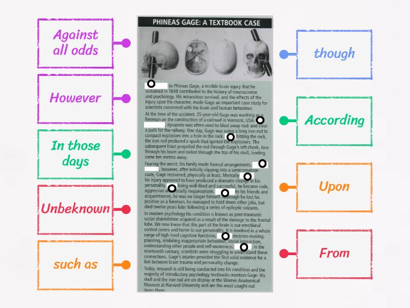 C2 reading (linking words) - Labelled diagram