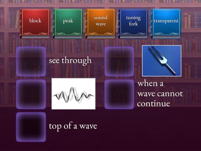 NGSS Light & Sound Waves - Une las parejas