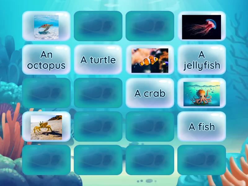Matching sea animals names to pictures - Matching pairs