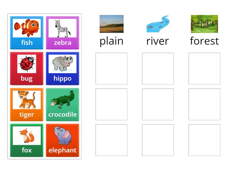 kIDS BOX 1 UNIT 8 - Group sort