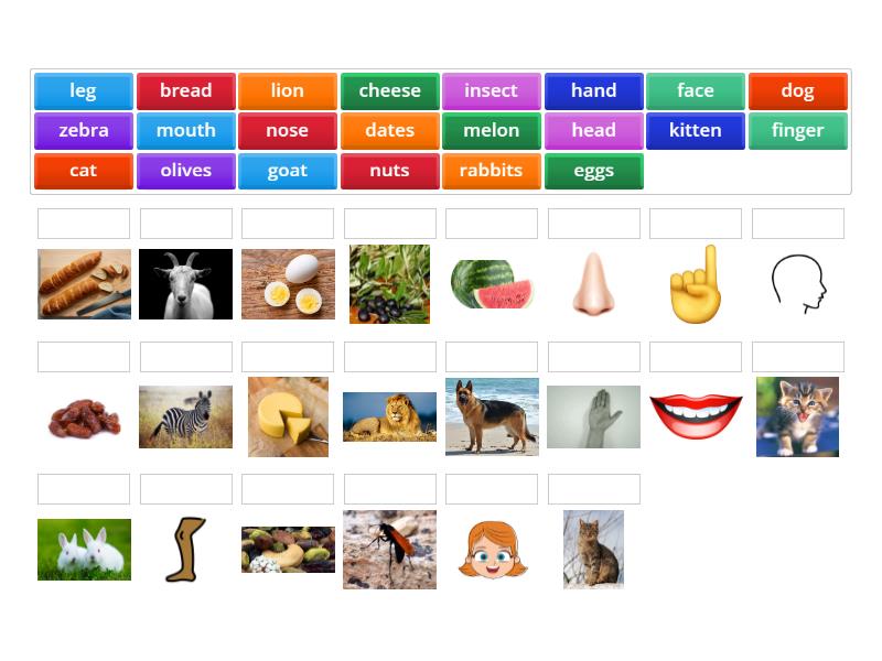 first Grade vocabulary units 2-4 - Match up