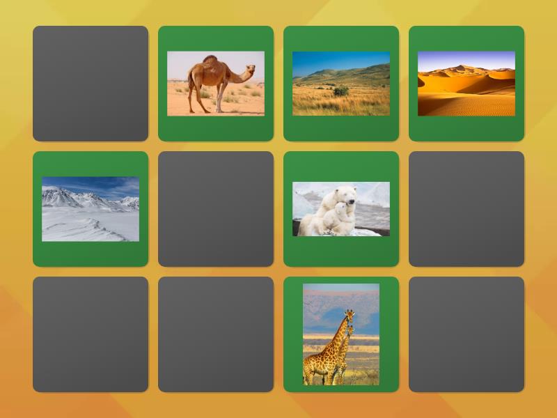 Animal Habitats - Matching pairs