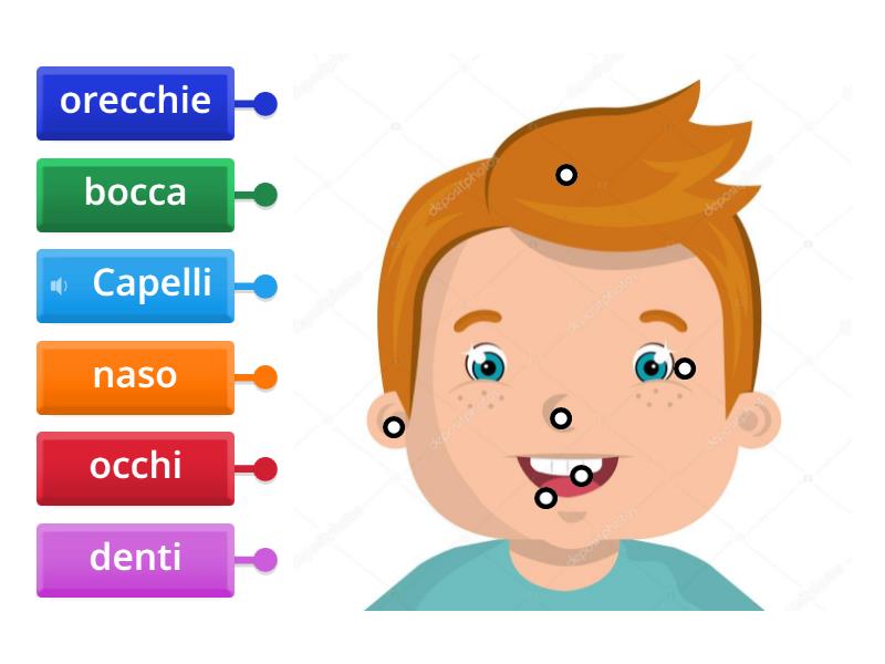 Le parti del viso - Labelled diagram