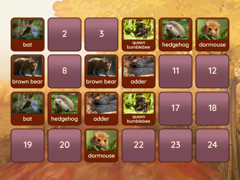 Hibernating Animals - Matching pairs