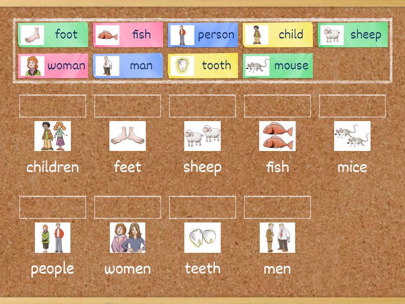 Irregular plurals - Match up