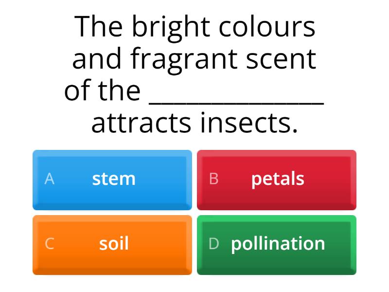pollination - Quiz