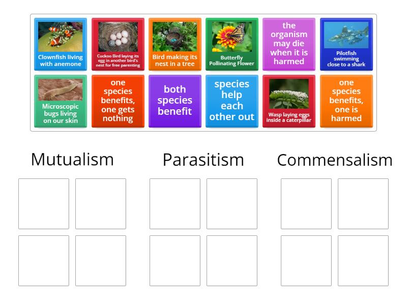 Symbiotic Relationships 1 - Group sort