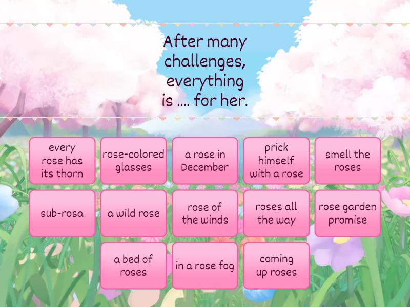 Rose idioms sentences - Find the match