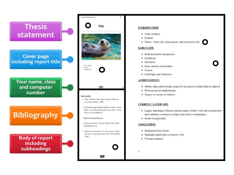 Structure and Layout of Report - Labelled diagram