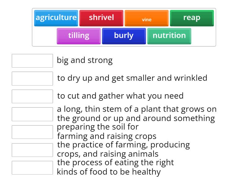 How Do You Raise a Raisin? + Big Idea Vocabulary - Match up