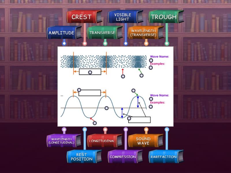 Label Parts of Waves - Labelled diagram