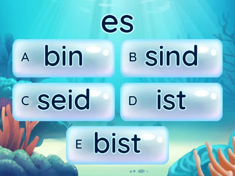 Konjugation von sein - Quiz