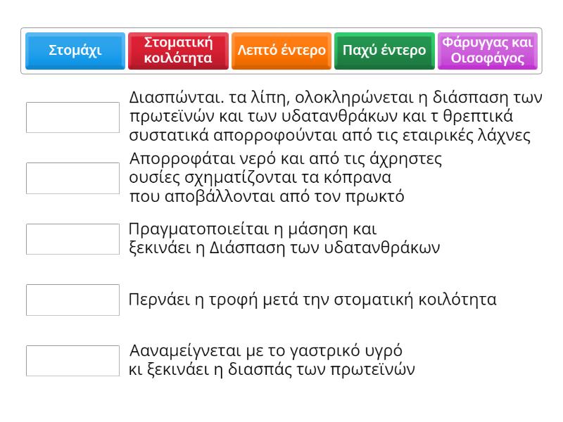 ΠΕΠΤΙΚΟ ΣΥΣΤΗΜΑ - Match up