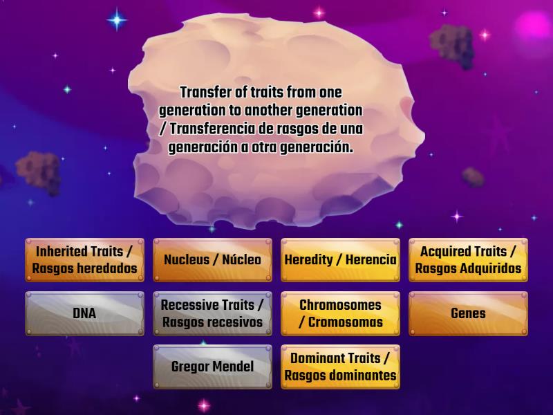 Inherited Traits Vocabulary - Find the match