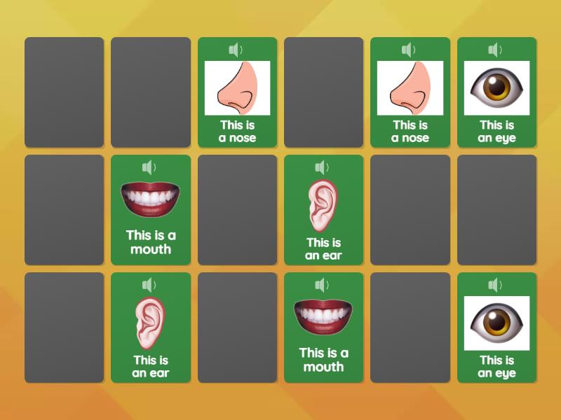 Body parts memory game - Matching pairs