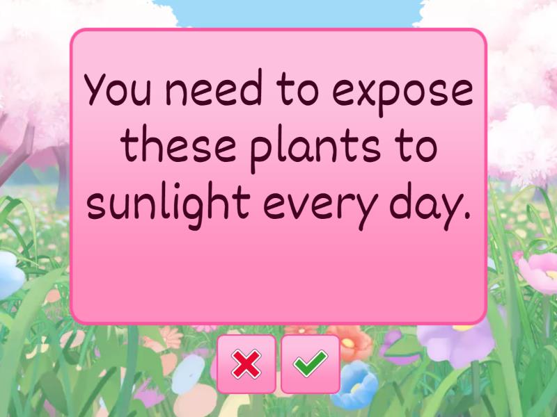 Roadmap B2 2B passive rephrase - Flash cards