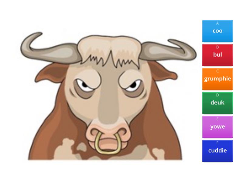 Fit Am I? - Quiz