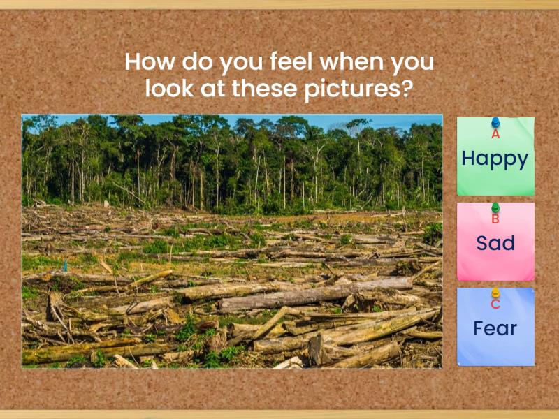 How do you feel? - Quiz