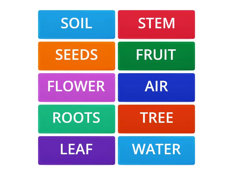 Bingo Plants - Flip tiles