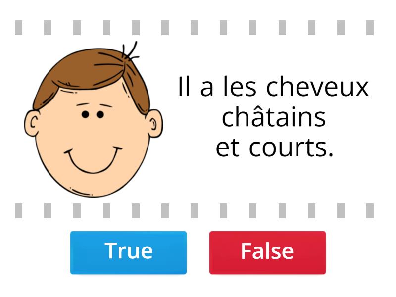 Les traits physiques - True or false