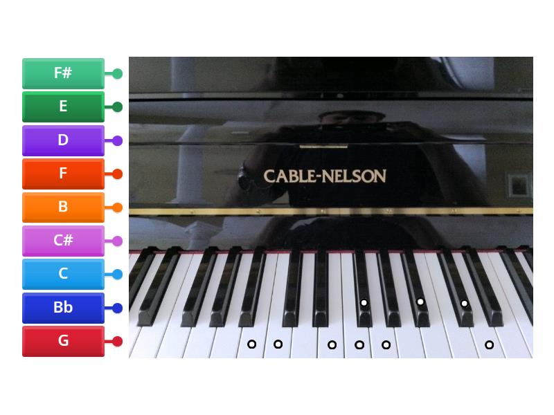 112-2-1 tone of the piano - Labelled diagram