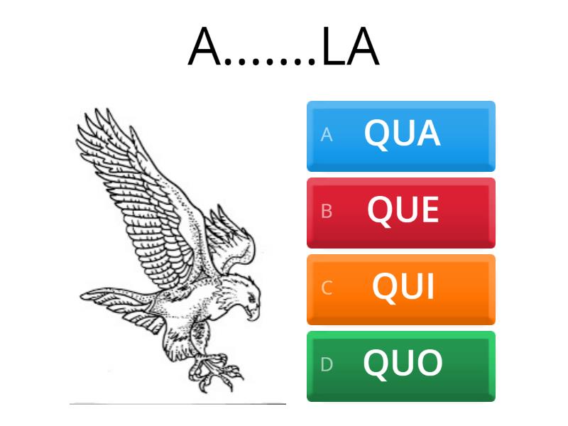 QUA QUE QUI QUO - Cuestionario